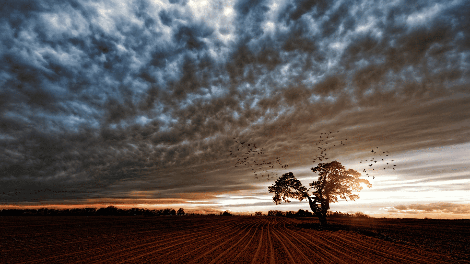 Seasonal Rainfall Forecast